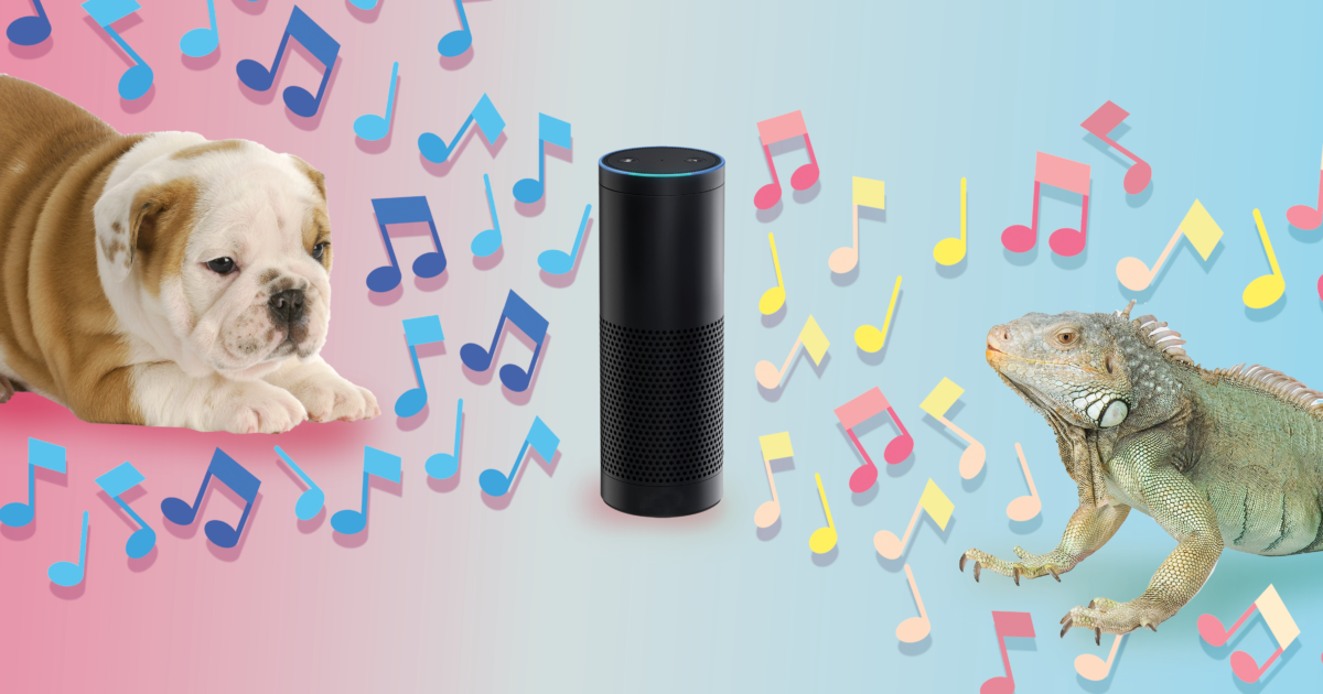 Spotify's Pet Playlists Are the Best Thing About 2020 - ChatterBlast